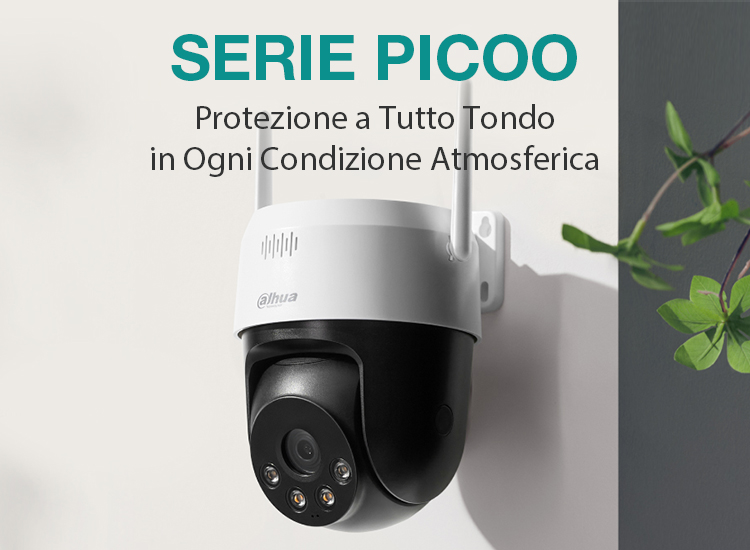 Dahua security camera store
